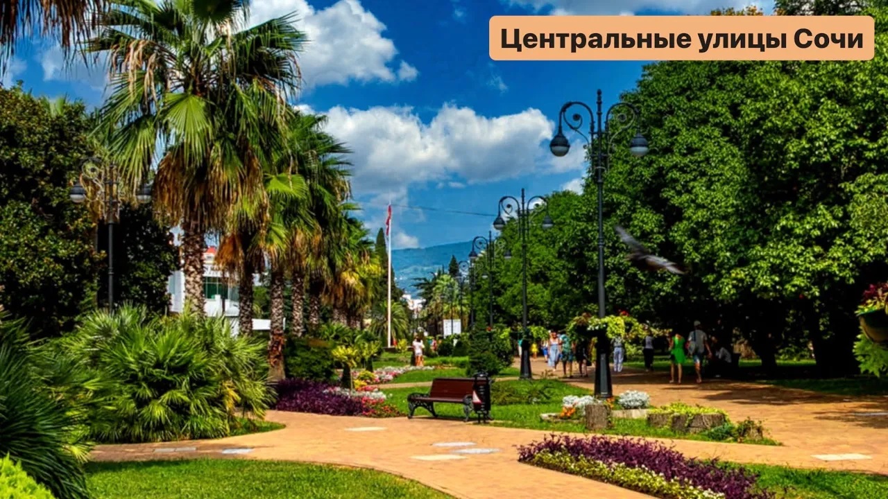 Обзор центральных улиц города Сочи.
