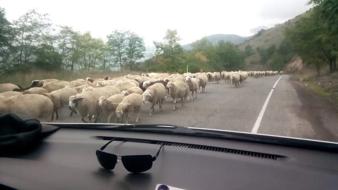 Армения - 2019. Дорога на Хндзореск - 1