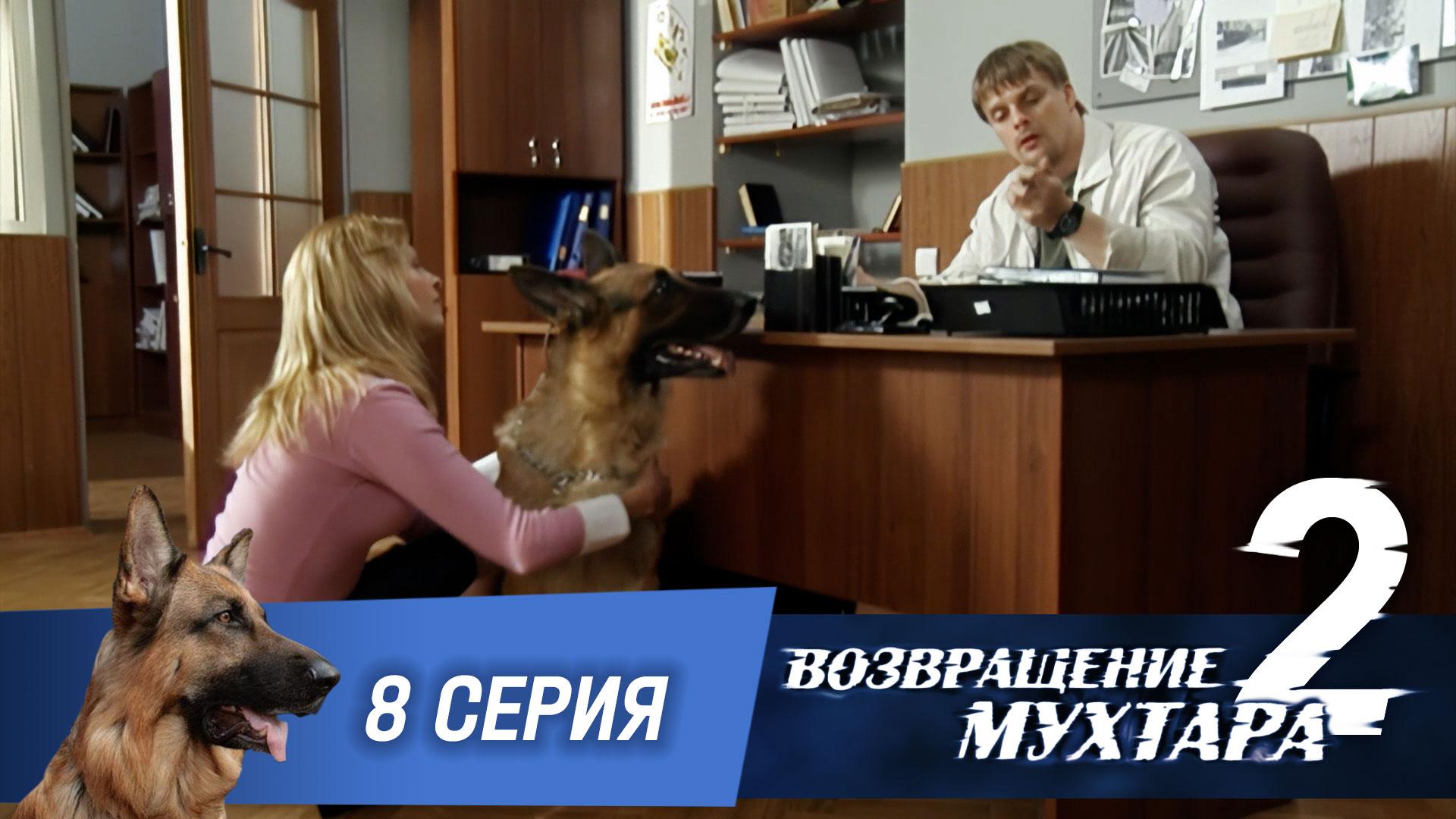 «Возвращение Мухтара — 2». 8 серия. «Эвакуатор»