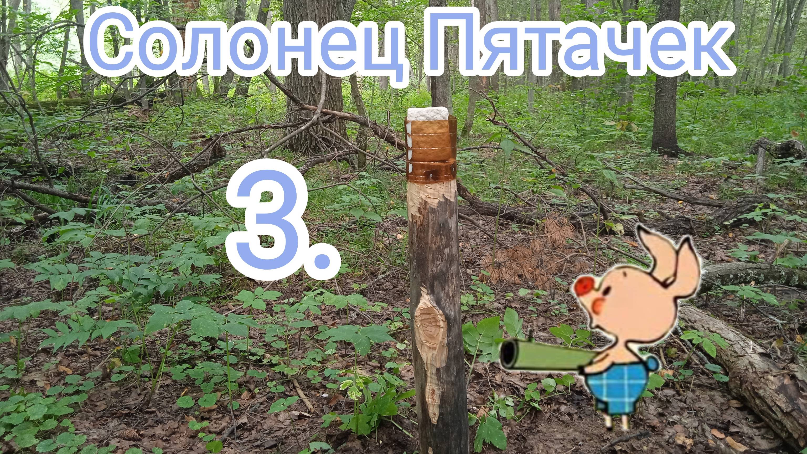 Солонец Пятачек 3