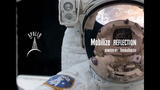 Mobilize - Reflection