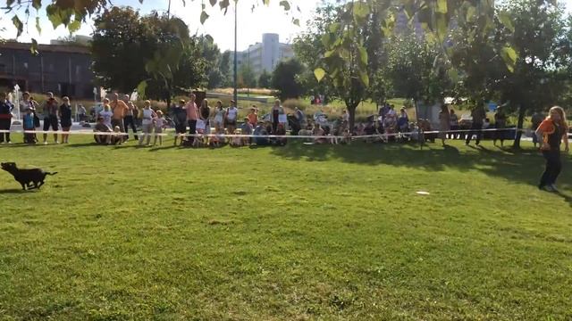 Першикова Елена и стаффбуль Умка.mp4