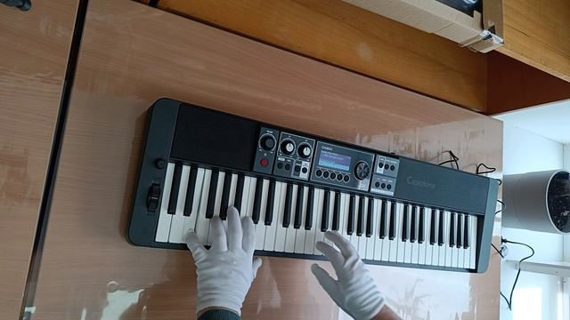Casio CT-S500: Первый взгляд. Мнение
