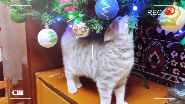 Этот Новый Год.mp4