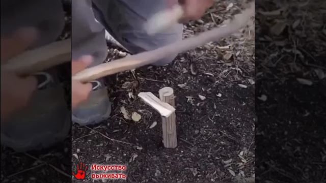 VID_20221223_184031_413.mp4