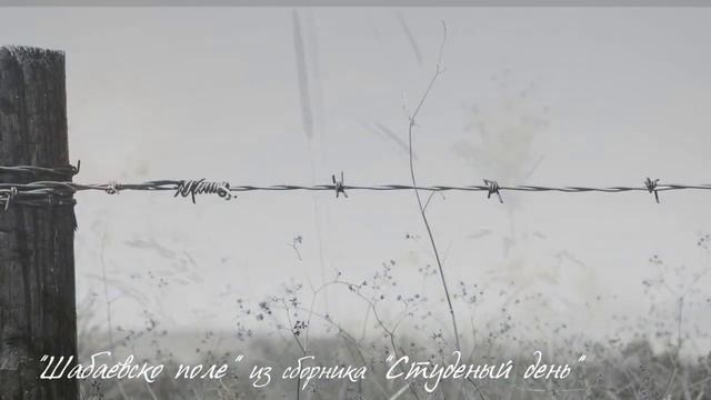 Н. И. Буйносова Студеный день.mp4