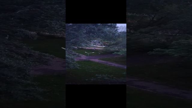 Ночные трели птиц из моего окна
время 02:30 Набережные Челны
30 мая 2024 четверг