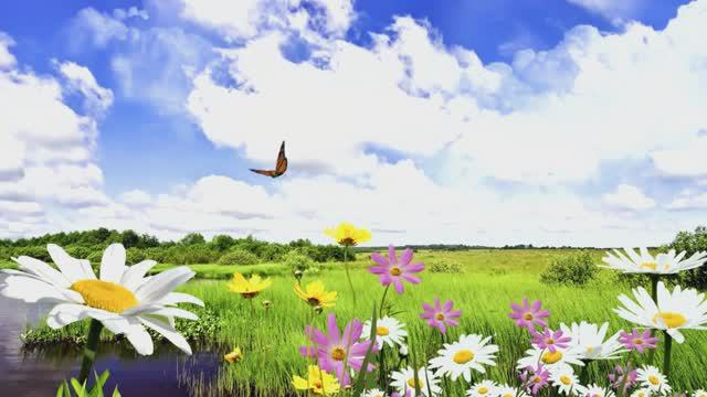 Ручеёк. Виктор Корнев - муз., Людмила Корнева - исп., Любовь Чернышова - стихи и монтаж