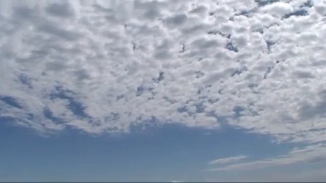 Жэмчюжины Дуссэ-.mp4 (1).mp4