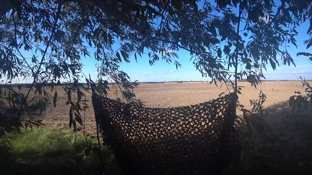 ОХОТА НА ВЯХИРЯ С ТОЗ-34. Сломал ружьё