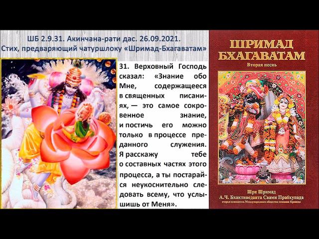 ШБ 2.9.31. Акинчана-рати дас. 26.09.2021. Стих, предваряющий чатуршлоку «Шримад-Бхагаватам»