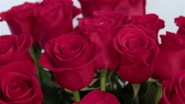 Букет роз.mp4