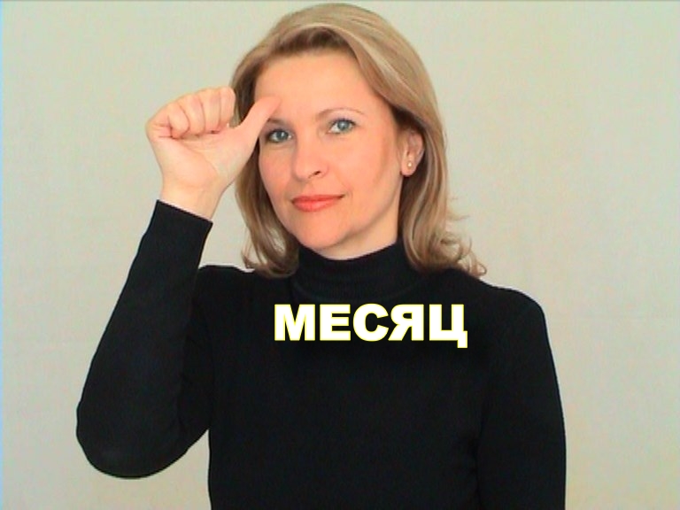 ЖЕСТОВЫЙ ЯЗЫК. СЛОВАРЬ. Месяц