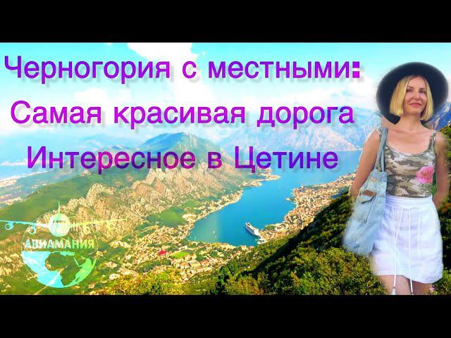 Черногория с местными | дорога в Ловчен |Древняя столица Цетине| #Авиамания