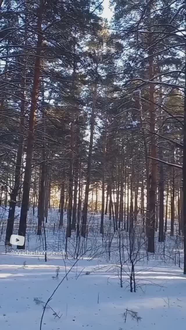 Как понять, что у тебя ВИЧ без анализов?!