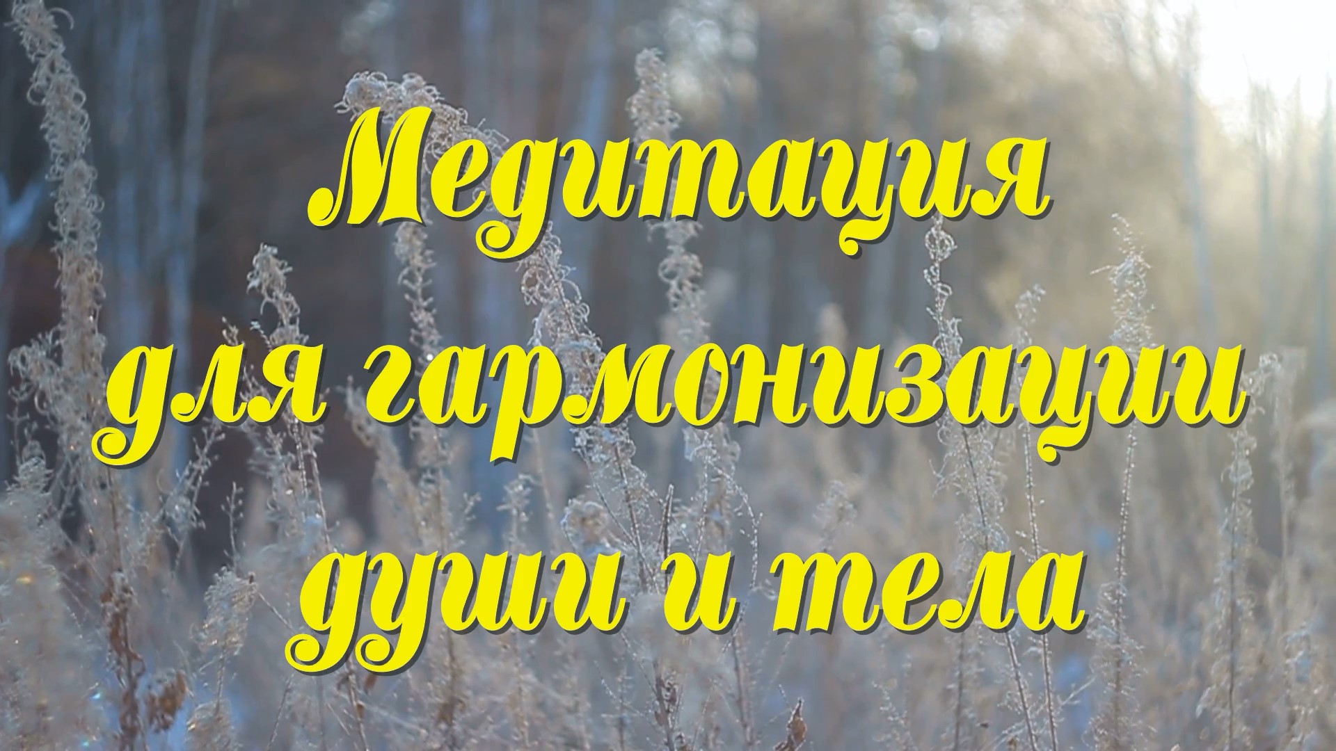 Медитация для гармонизации души и тела. Аудио-видео с записью голоса. Читает автор Светлана Авдеева