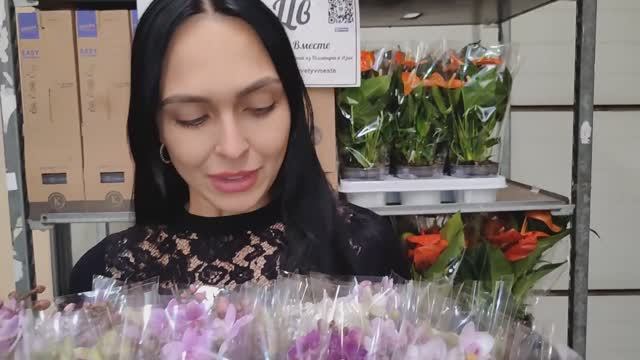 Цветы Вместе - Приемка растений из Голландии от 11.09.21 для выставки Орхидиум 18.09.2021 г. Москва