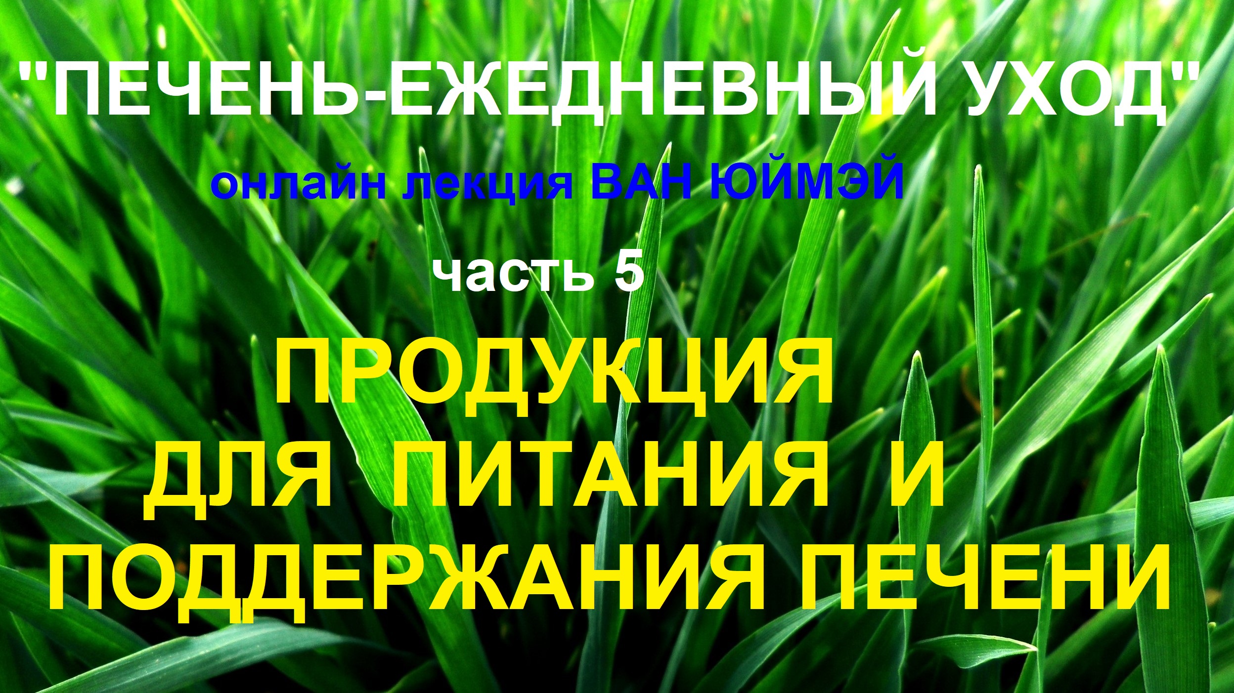 5 продукция для питания и поддержания печени.wmv