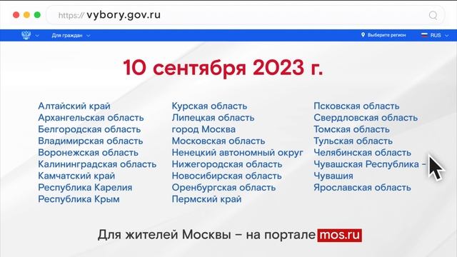 Что такое дистанционное электронное голосование