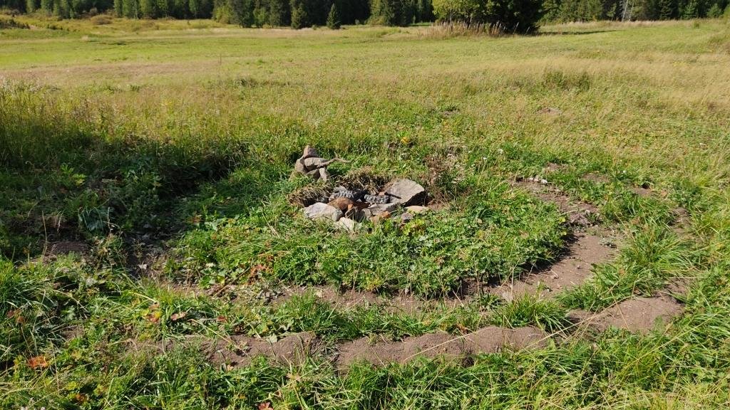 Фирменный костровой очаг от лесного хозяйства