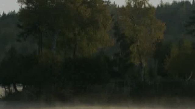 Видеопосвящение Алексею Прасолову