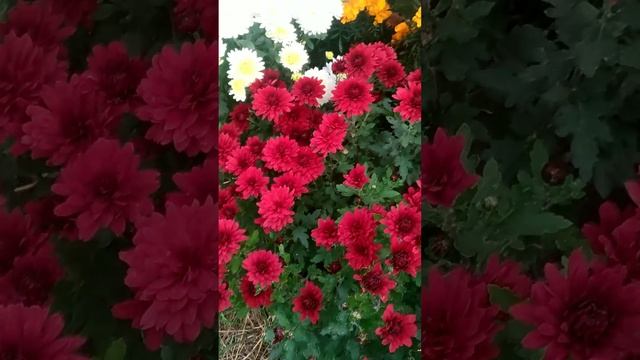 ???13 октября 2020 год ???