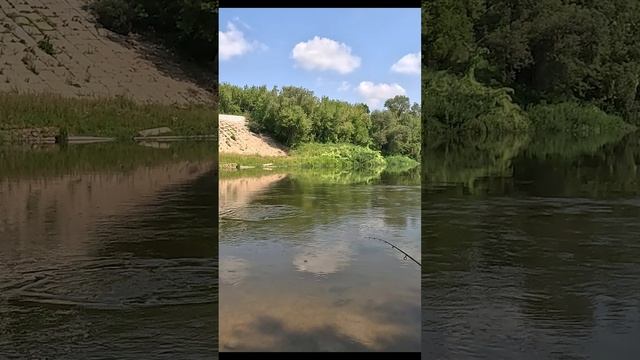 Подлый голавль подло ударил ни в чём не виновную вертушку  #nautilus #философиярыболова #наутилус