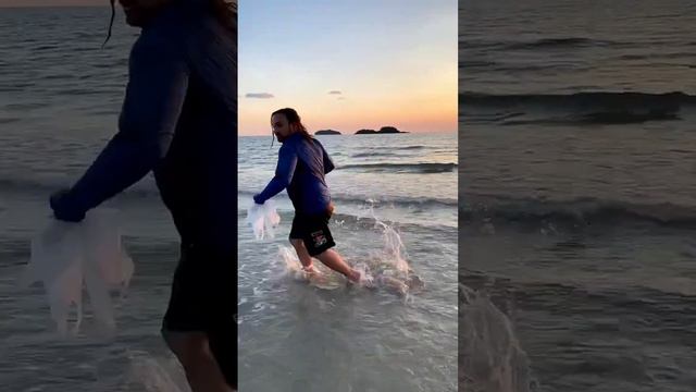 Выживи на необитаемом острове.