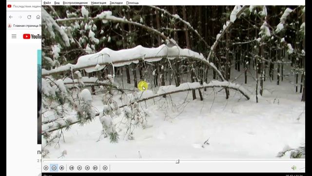 Прогулка 2 января 2022г.Поиски Лешего.Снежного человека.