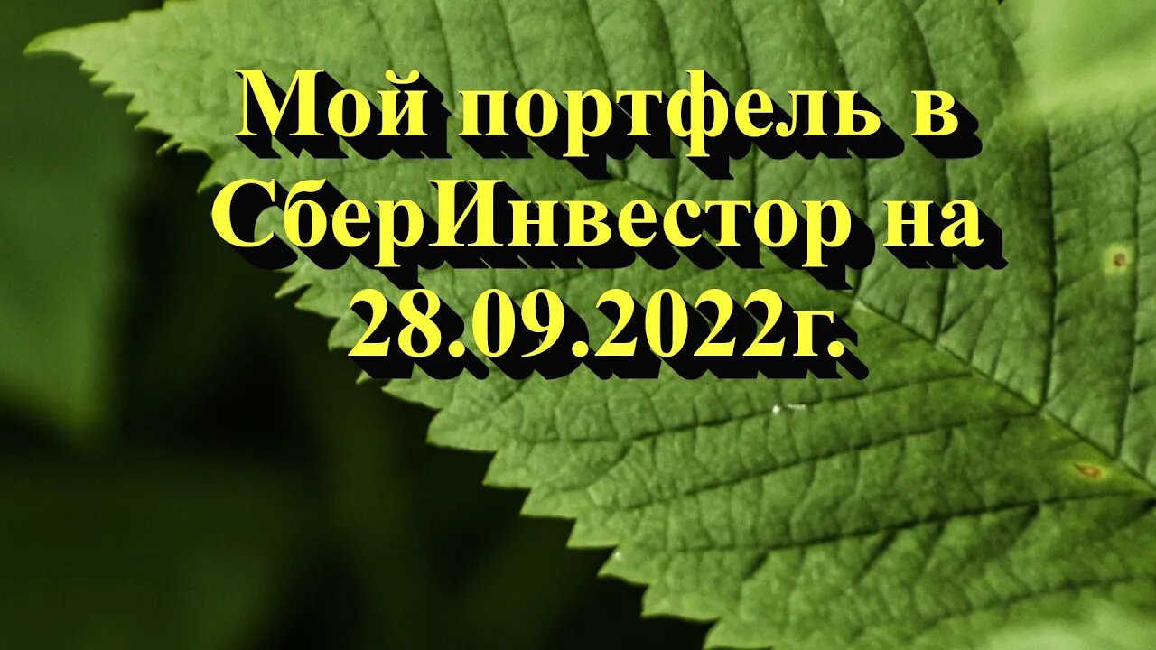 Мой портфель в СберИнвестор на 28.09.2022г. Не является инвестиционной рекомендацией.mp4