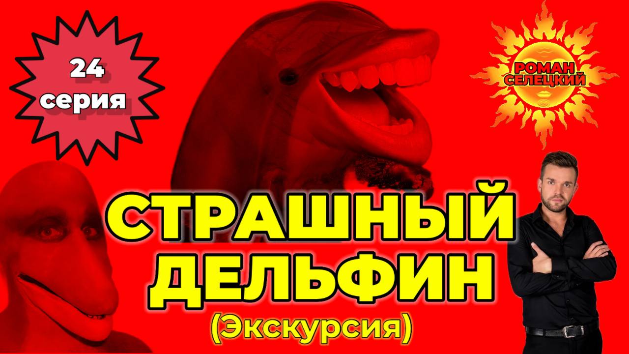 ПЛАВАНИЕ С ДЕЛЬФИНОМ! Экскурсия