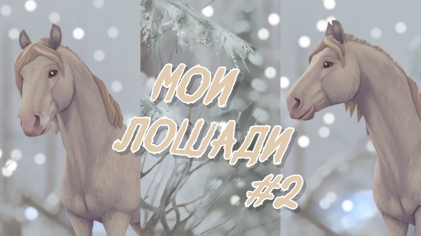 Мои лошади | Star Stable