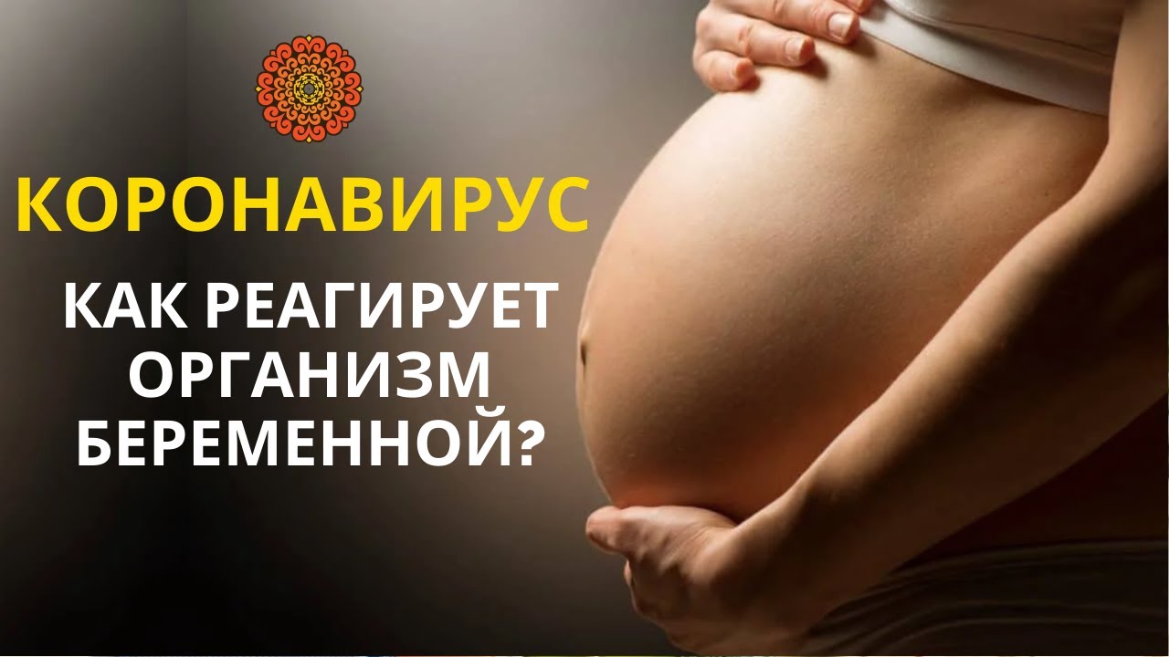 Как реагирует организм беременной, на коронавирсу. Борис Рагозин.