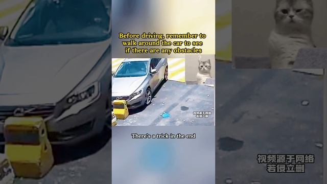 Before Driving, Remember to Walk Around the Car