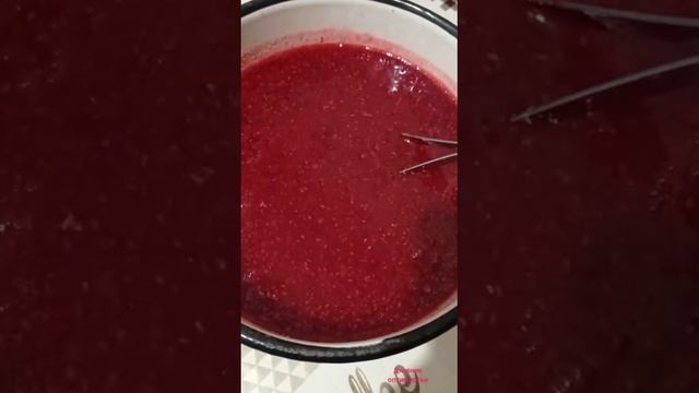 МАЛИНА БЕЗ САХАРА