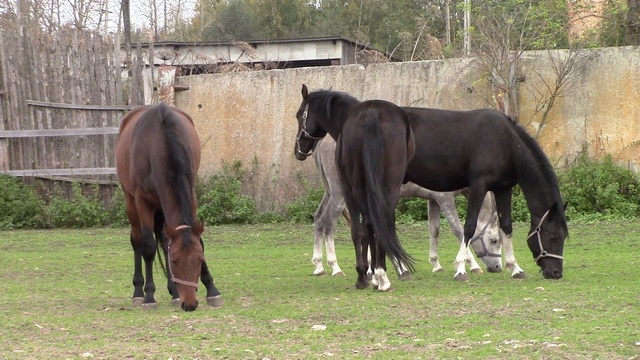 А там, вкуснее.