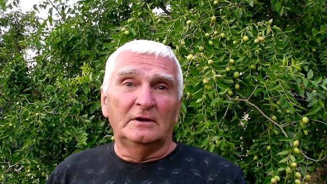 10 интригующих.MP4