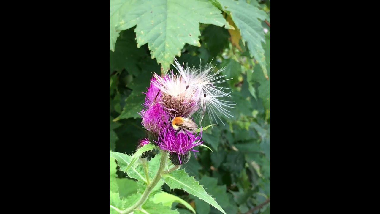 Природа России❤️