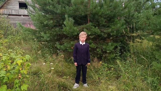 Павлов Андрей, 9 лет, Н.М. Рубцов "У сгнившей лесной избушки"