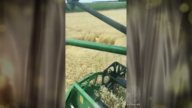 Краснодарские “Круги на полях“ Покосили на хлебушек.