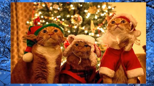 С Наступающим, Кодекс 2021!!!