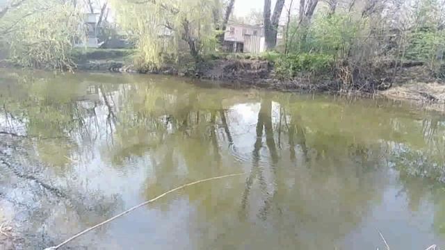 Пробная рыбалка с детьми в заливе реки Дон в г. Ростов-на-Дону на самодельную, поплавковую удочку