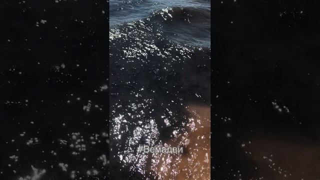 Черное море