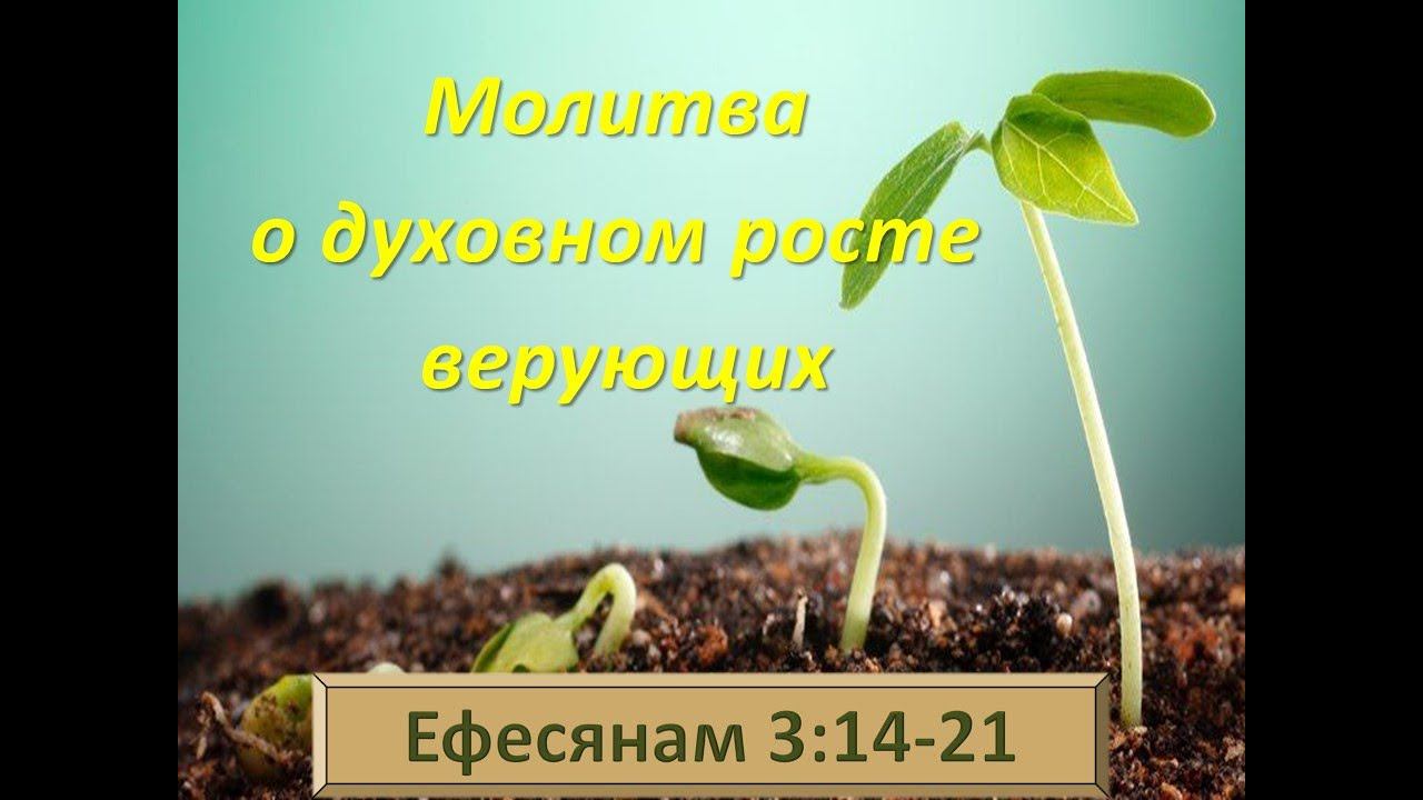 15 Молитва о духовном росте верующих (Еф. 3:14-21)