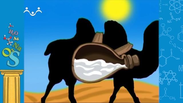 Академия Занимательных Наук. Химия. Энзимы