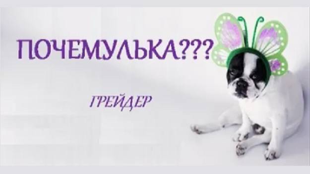 ПОЧЕМУЛЬКА? СПЕЦТЕХНИКА. ГРЕЙДЕР.