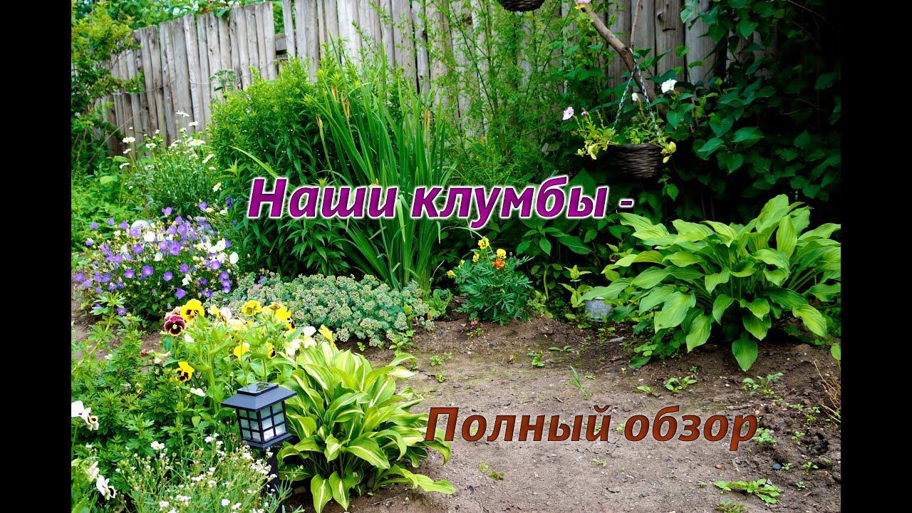 27 июля 2019 - Наши клумбы в Сибири - Полный обзор