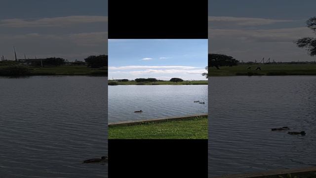 Обратная сторона Мирского замка