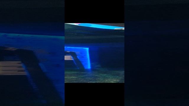 океанариум Спб Питер аквариум рыбки рыбы аквариумы аквариумные аква под водой подводный мир вода