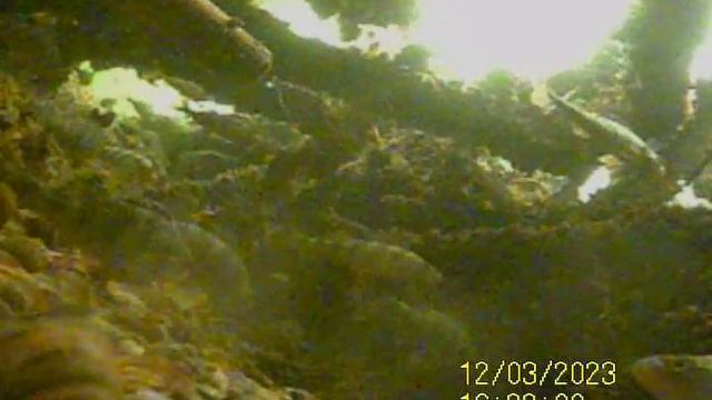 YouCut_20231203_174417218.mp4Волга гл.5м.Окуни.3 часть.03.12.2023г.